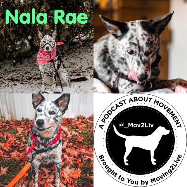 Movement is a Lifestyle Features 4:20 Nala Rae | Moving2Live